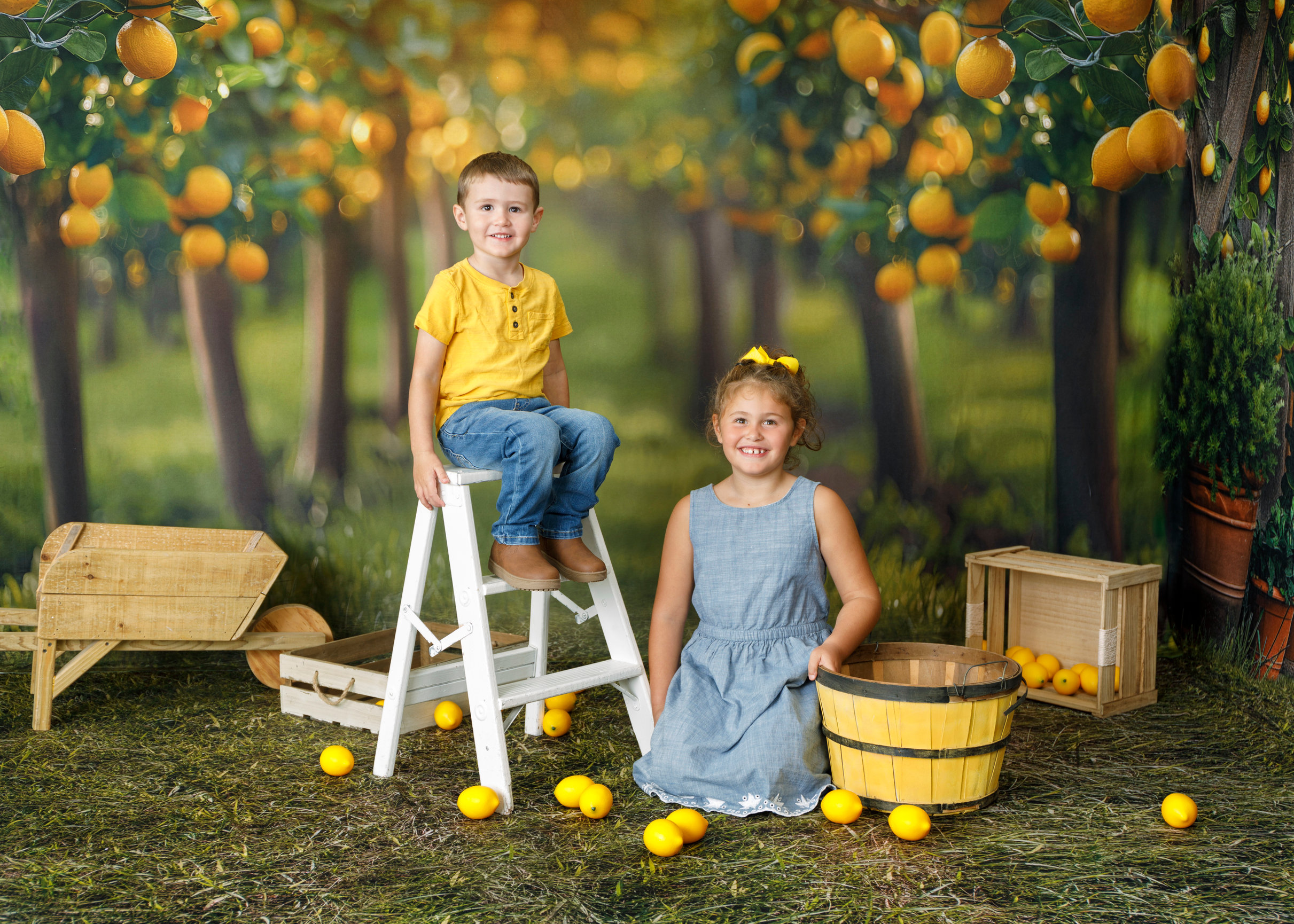 Summer Fun the Lemon Grove - Nickolson's Portrait Studio
