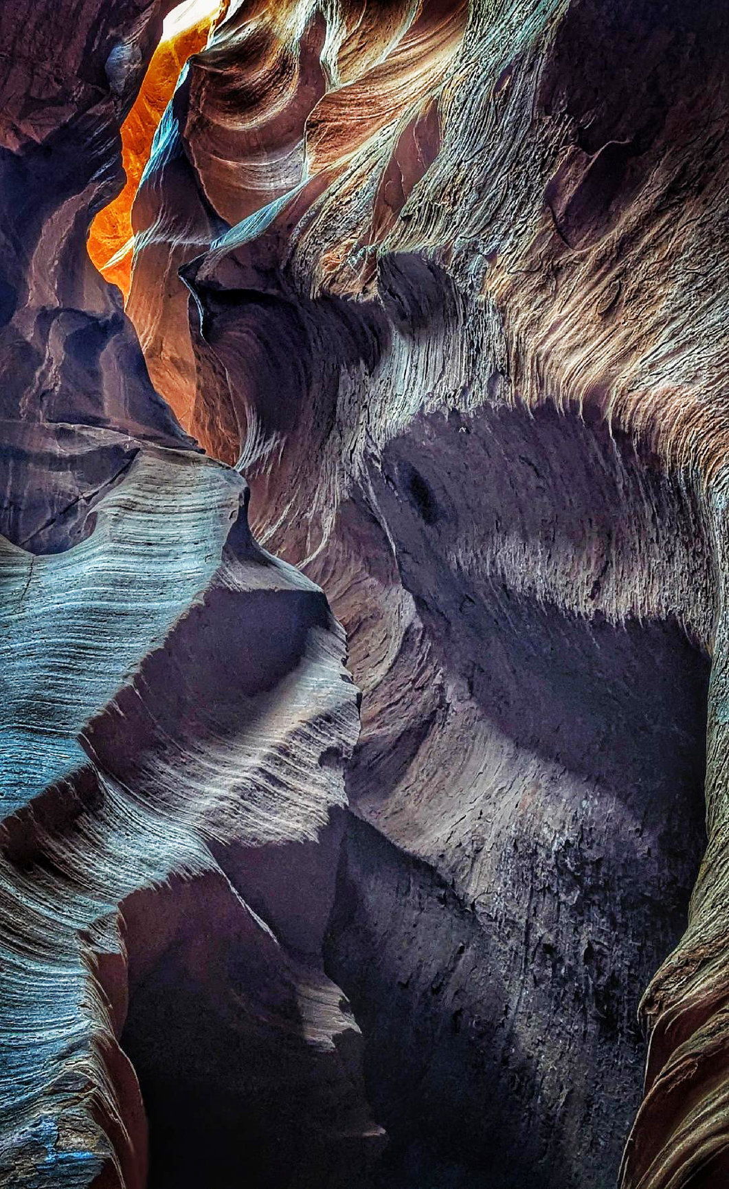 HOME - Steven Kaye Photography