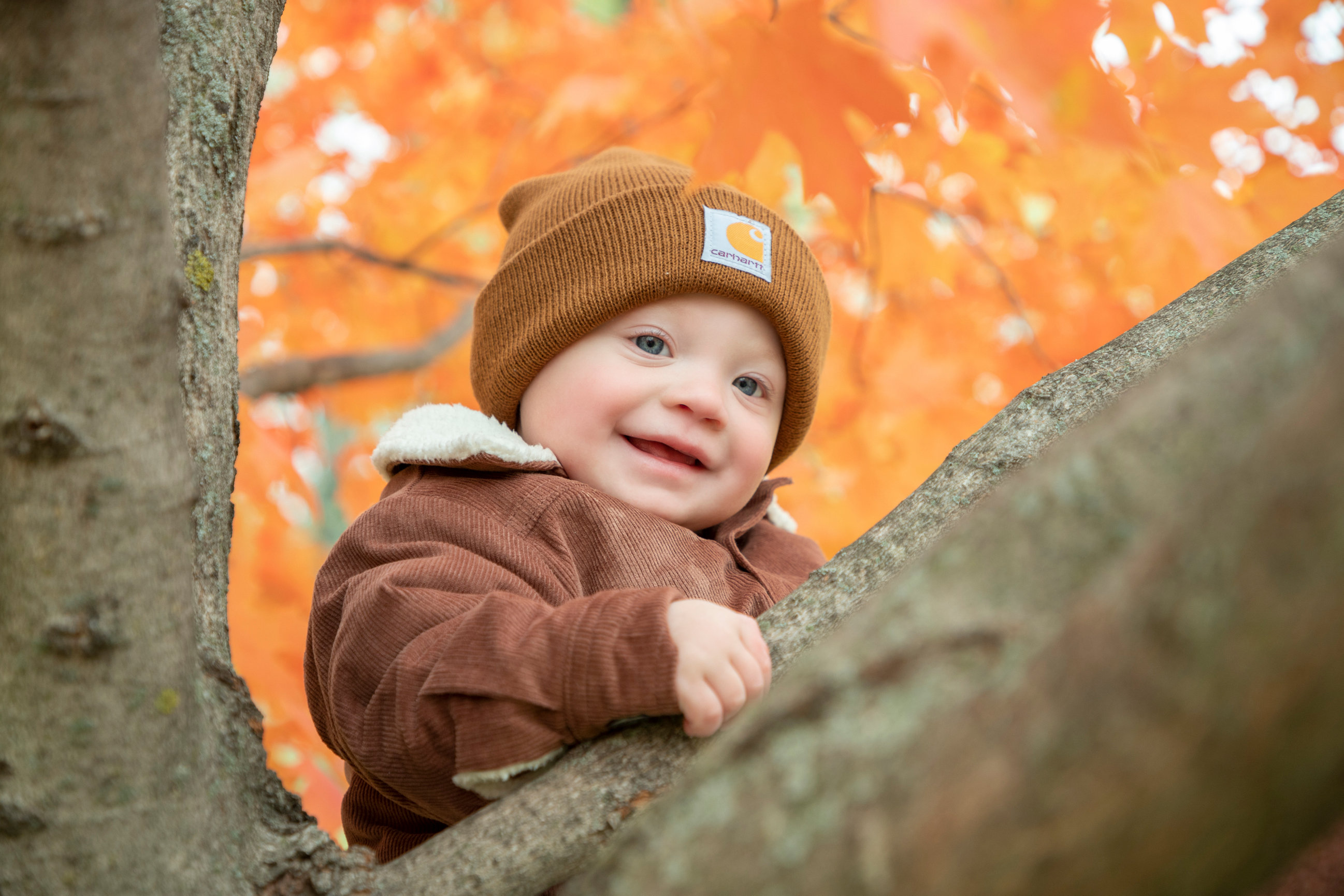 Homewood IL Photography Portfolio| Thomas Photographic