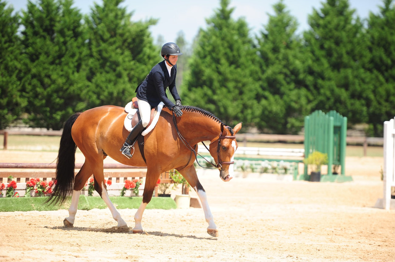 Photo Gallery - Townsend Farm