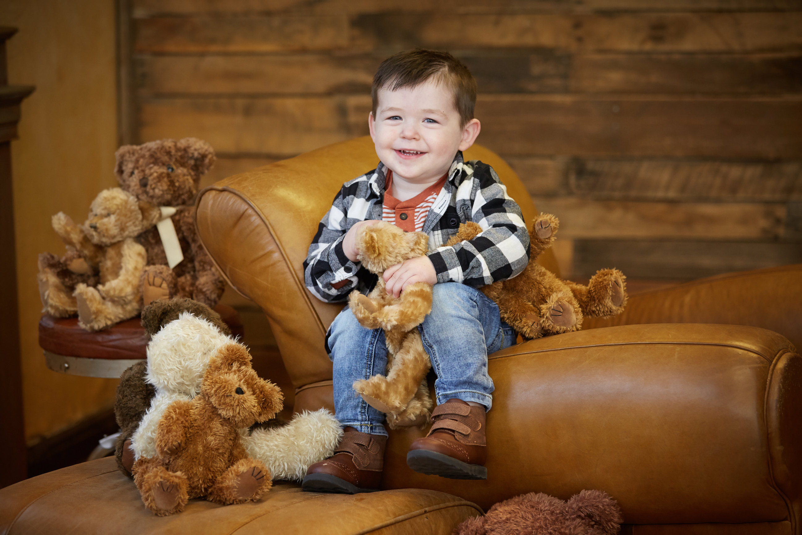 TEDDY BEARS - Peters Photography