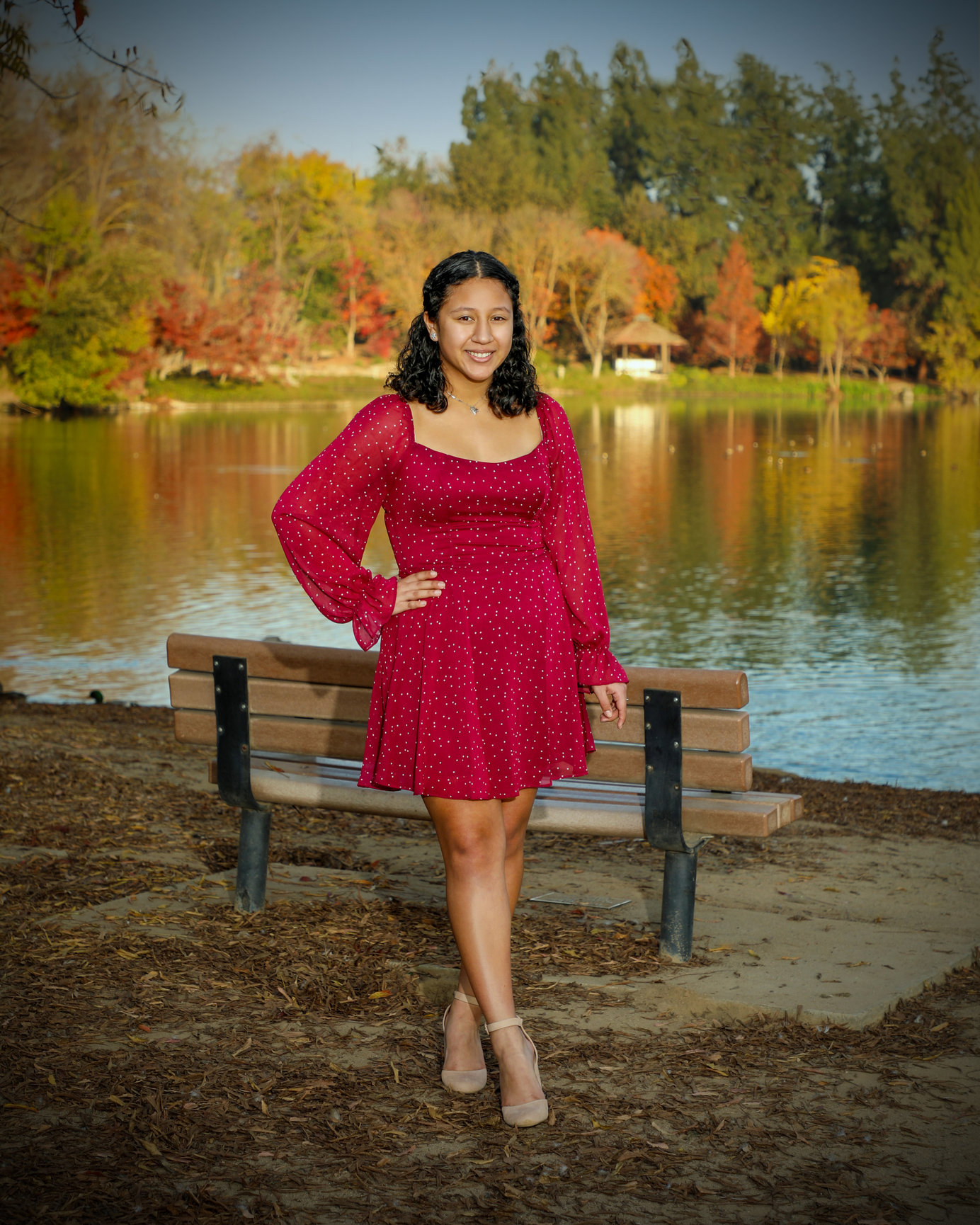 GALLERY - Maxwell Studio