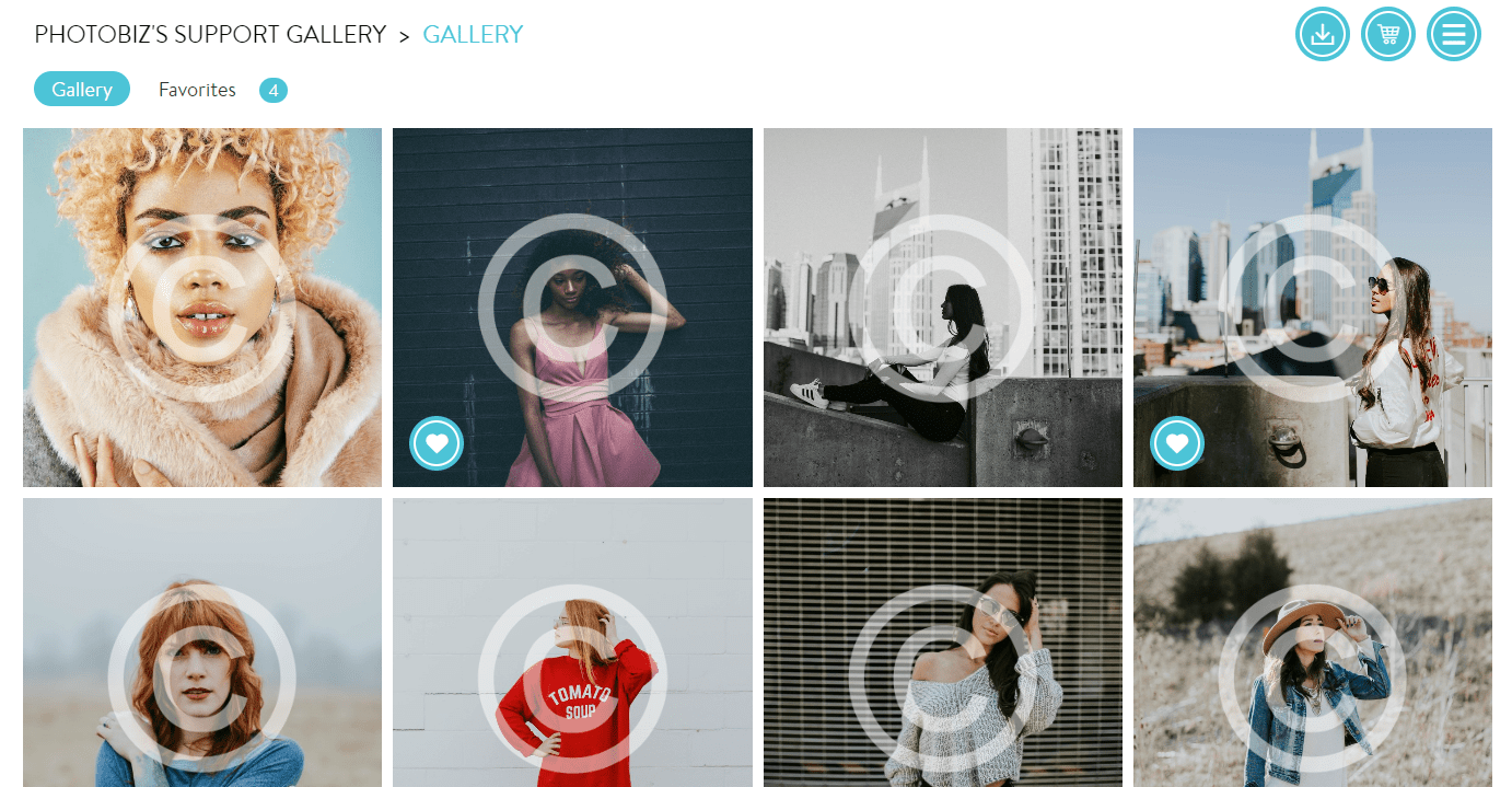 How To Do Bulk Downloads from a Client Galleries Event - PhotoBiz ...