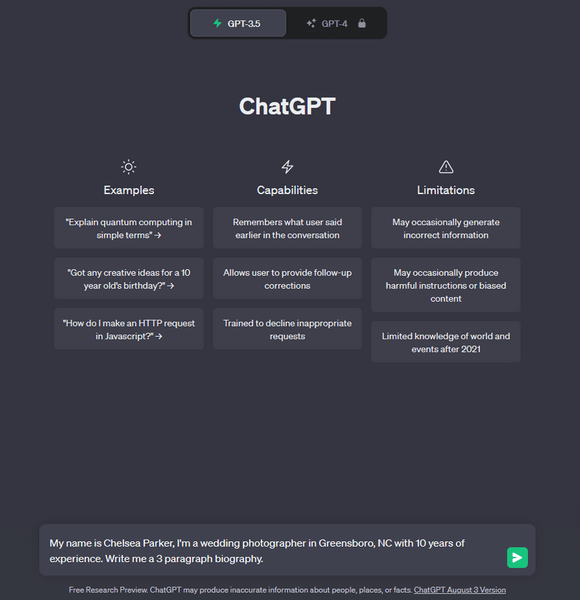 How To Use ChatGPT with Your Photography Website
