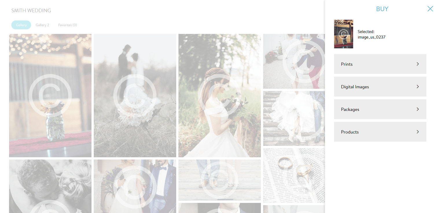 How To Purchase From Your Client Gallery - PhotoBiz Knowledge Base