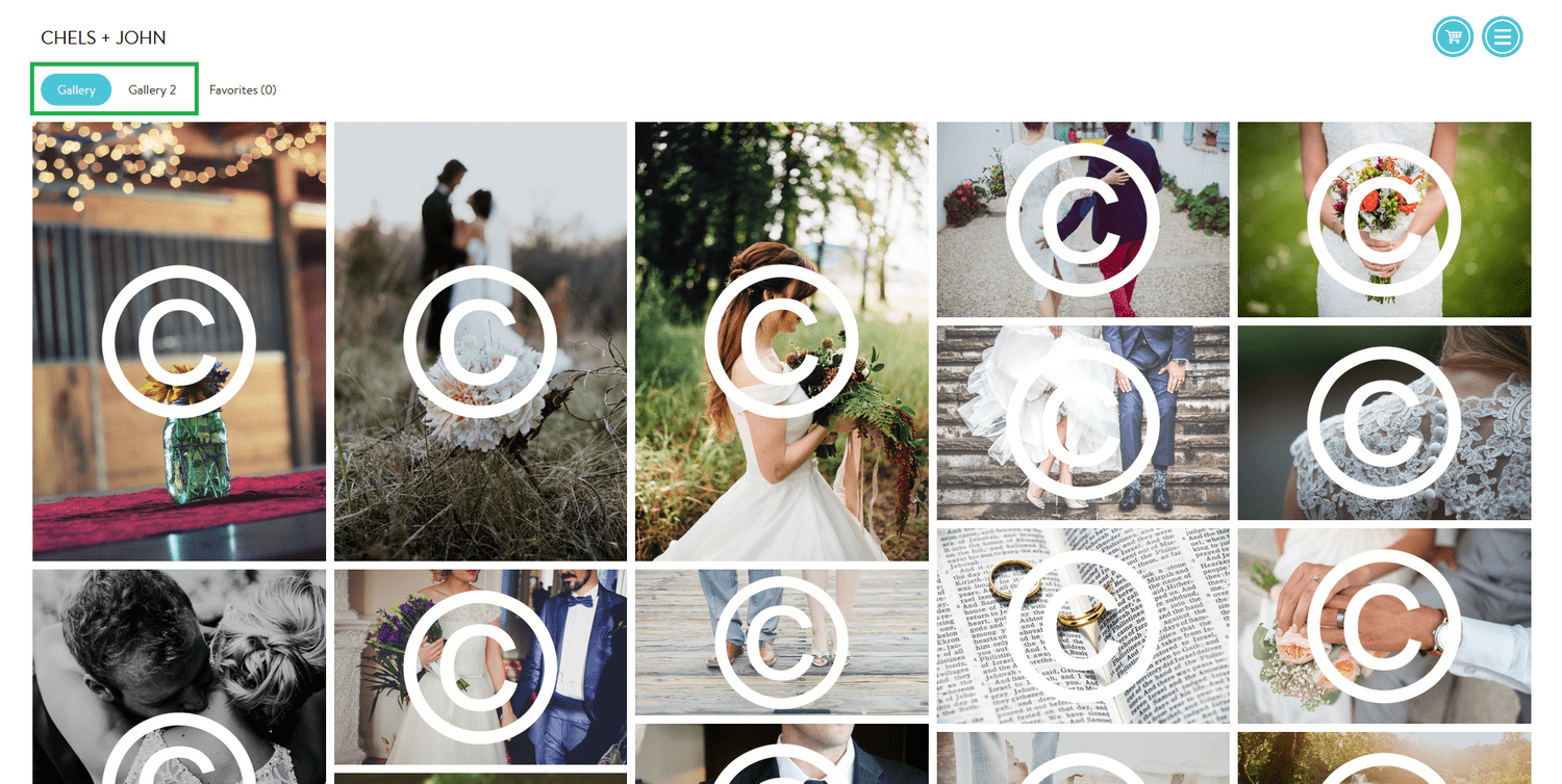 How To Add Additional Galleries To Client Galleries Events - PhotoBiz ...