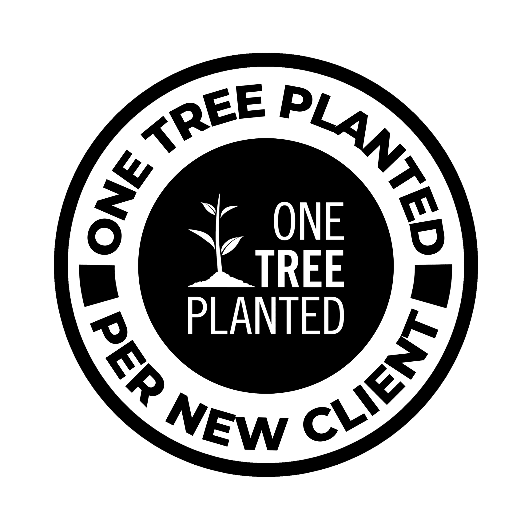 New Partnership with One Tree Planted - Aurora Photography & Design