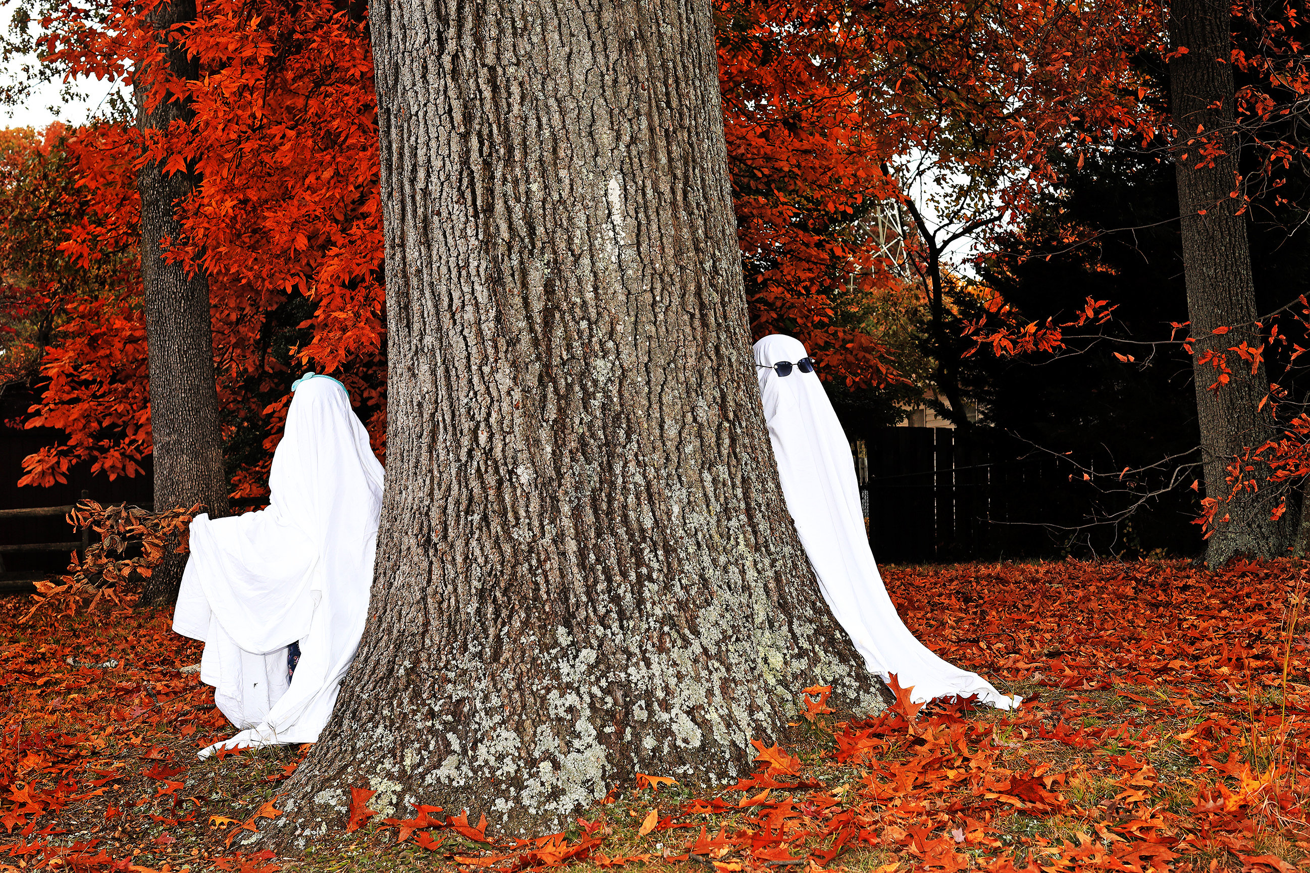 Halloween themed fun fall photos - Brandie McMinn Photography