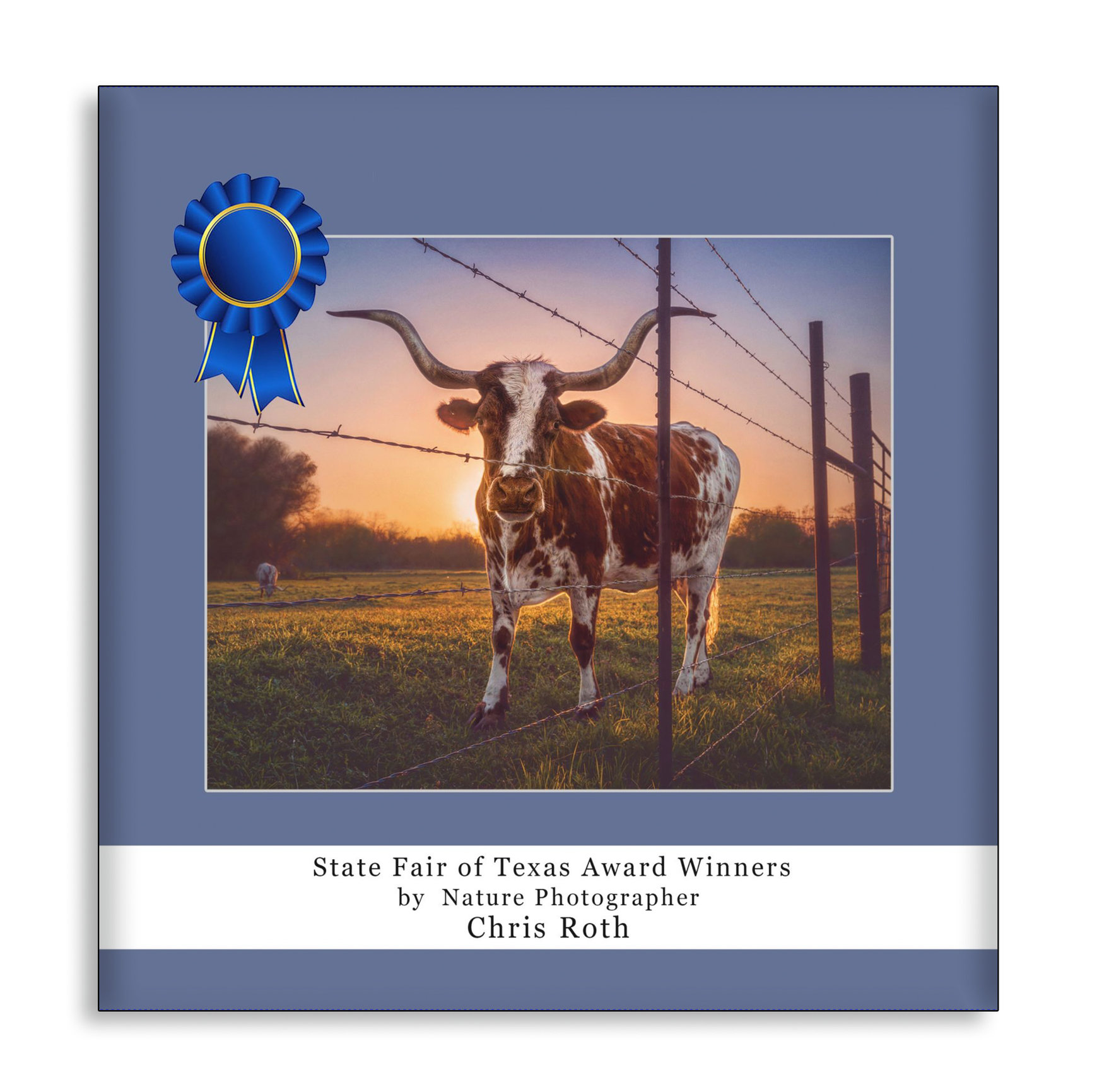 STATE FAIR OF TEXAS AWARDS - Christine Roth