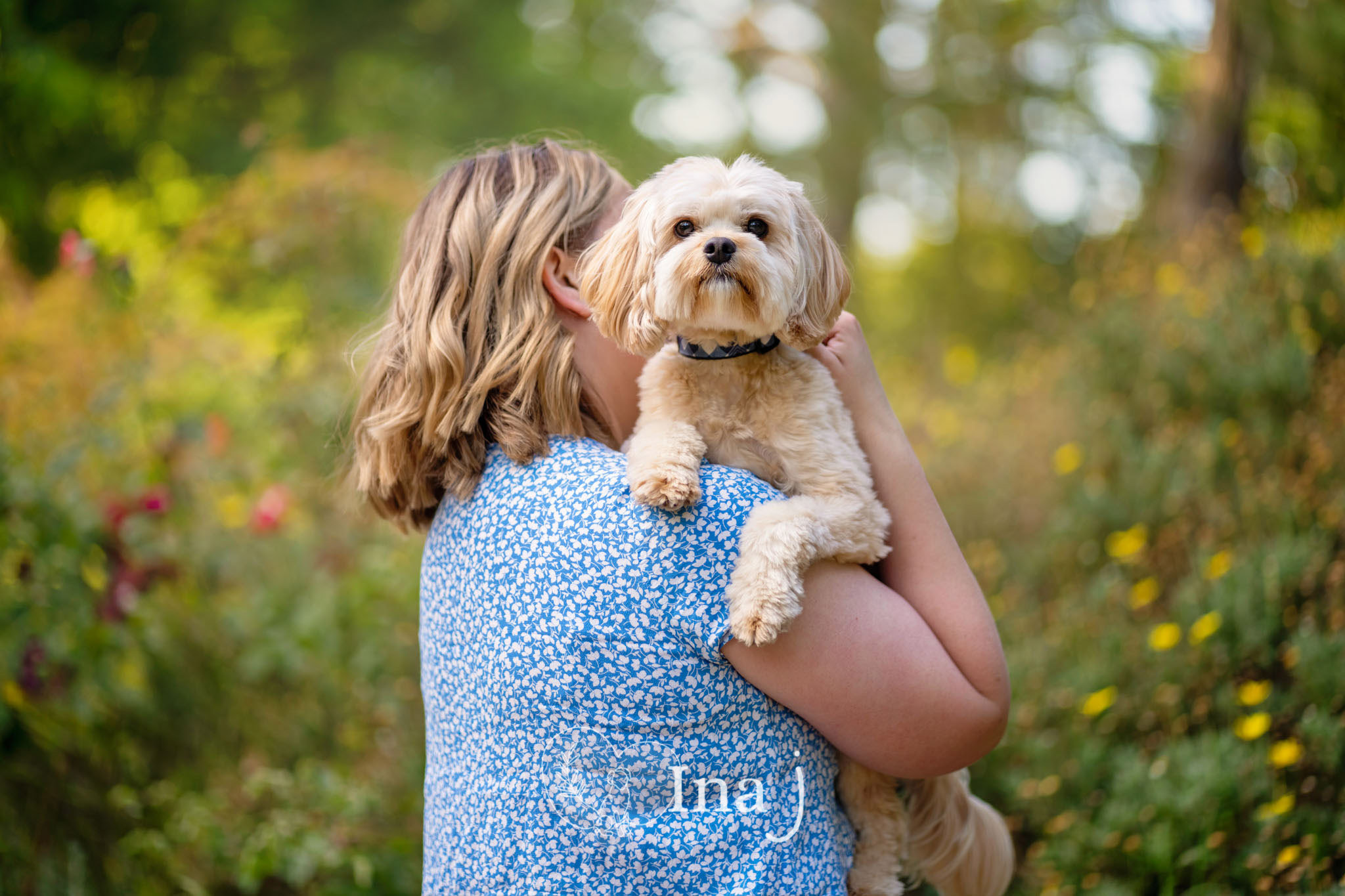 Top 8 Facts About Dog Parents
