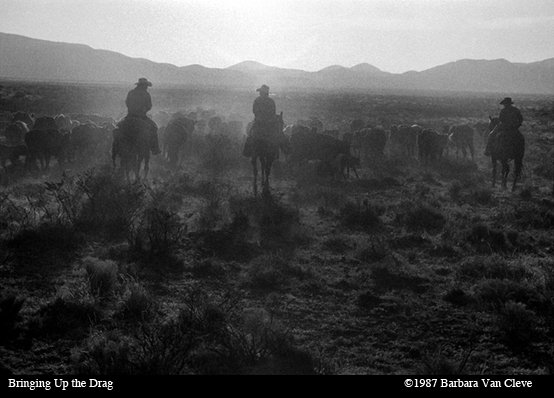 Bringing Up the Drag - Barbara P Van Cleve