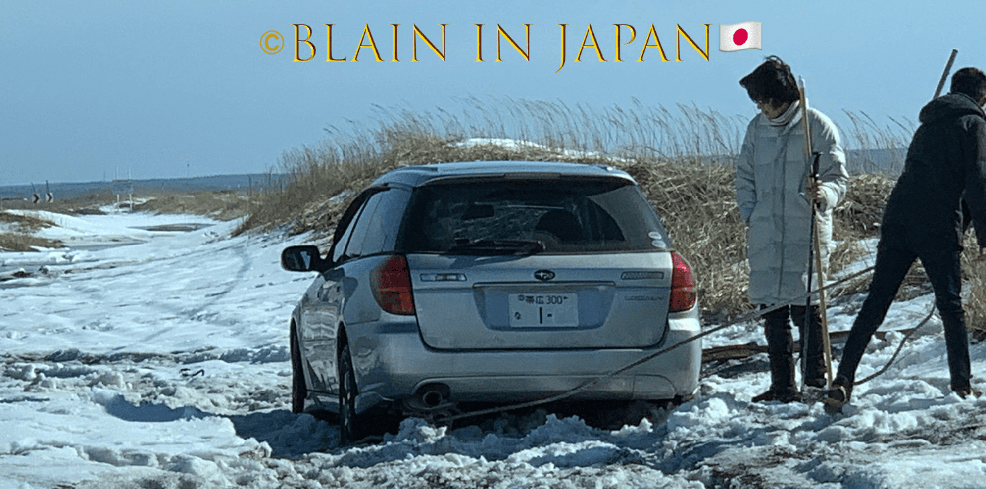 Largest Herd of Ezo Sika Deer Ever Photographed on Our Planet! - JAPAN ...