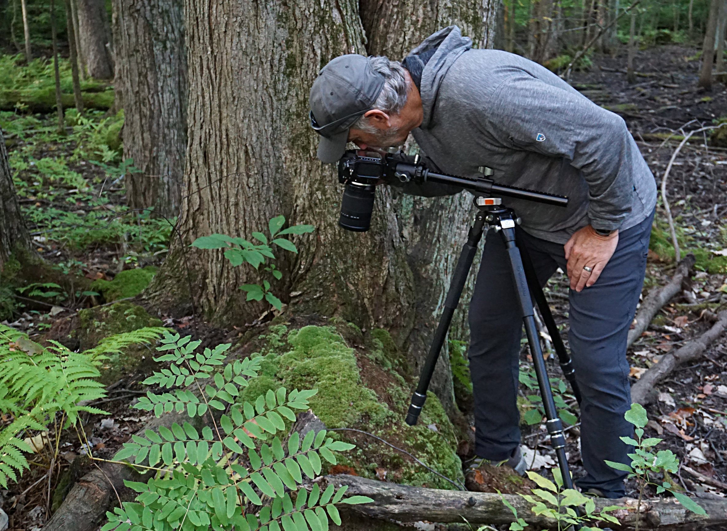 Mike Moats Macro Photography Blog