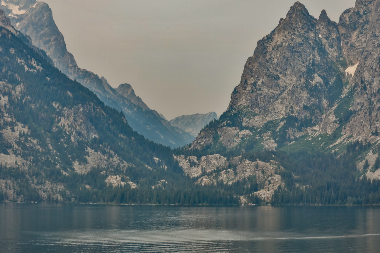 Contact - Alison Faith Fine Art