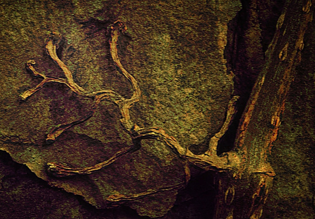 Now That's a Tiny Landscape - Mike Moats - Award Winning Macro Photographer