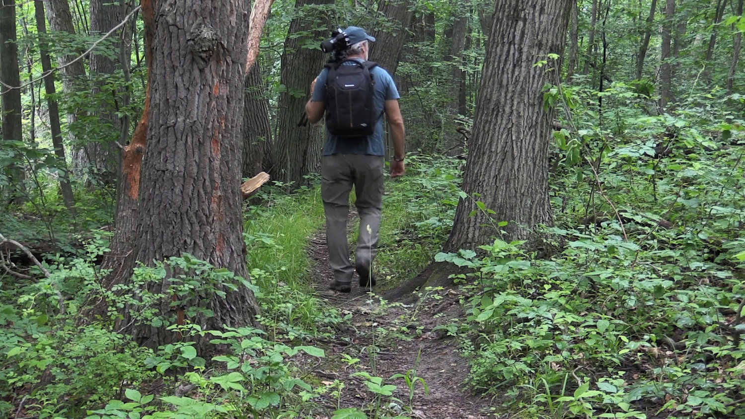 Shoot Macro - Avoid the Crowds - Mike Moats - Award Winning Macro ...