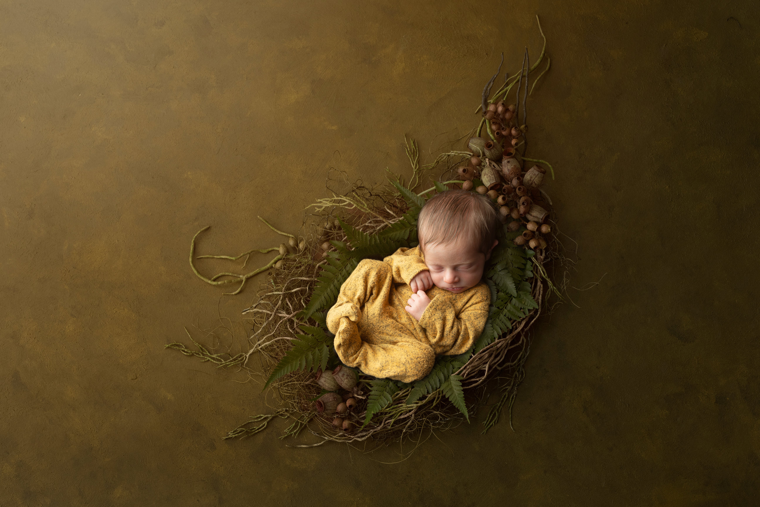 baby bronx newborn photoshoot