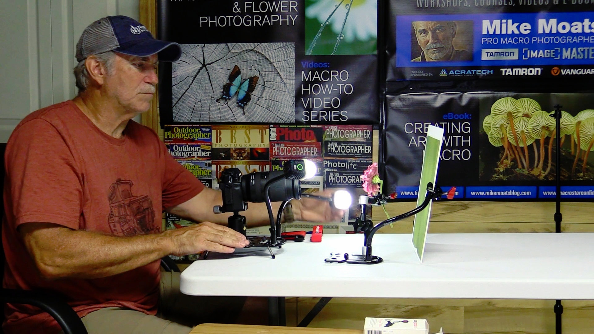 Macro Magic with Mike Moats - Mike Moats - Award Winning Macro Photographer