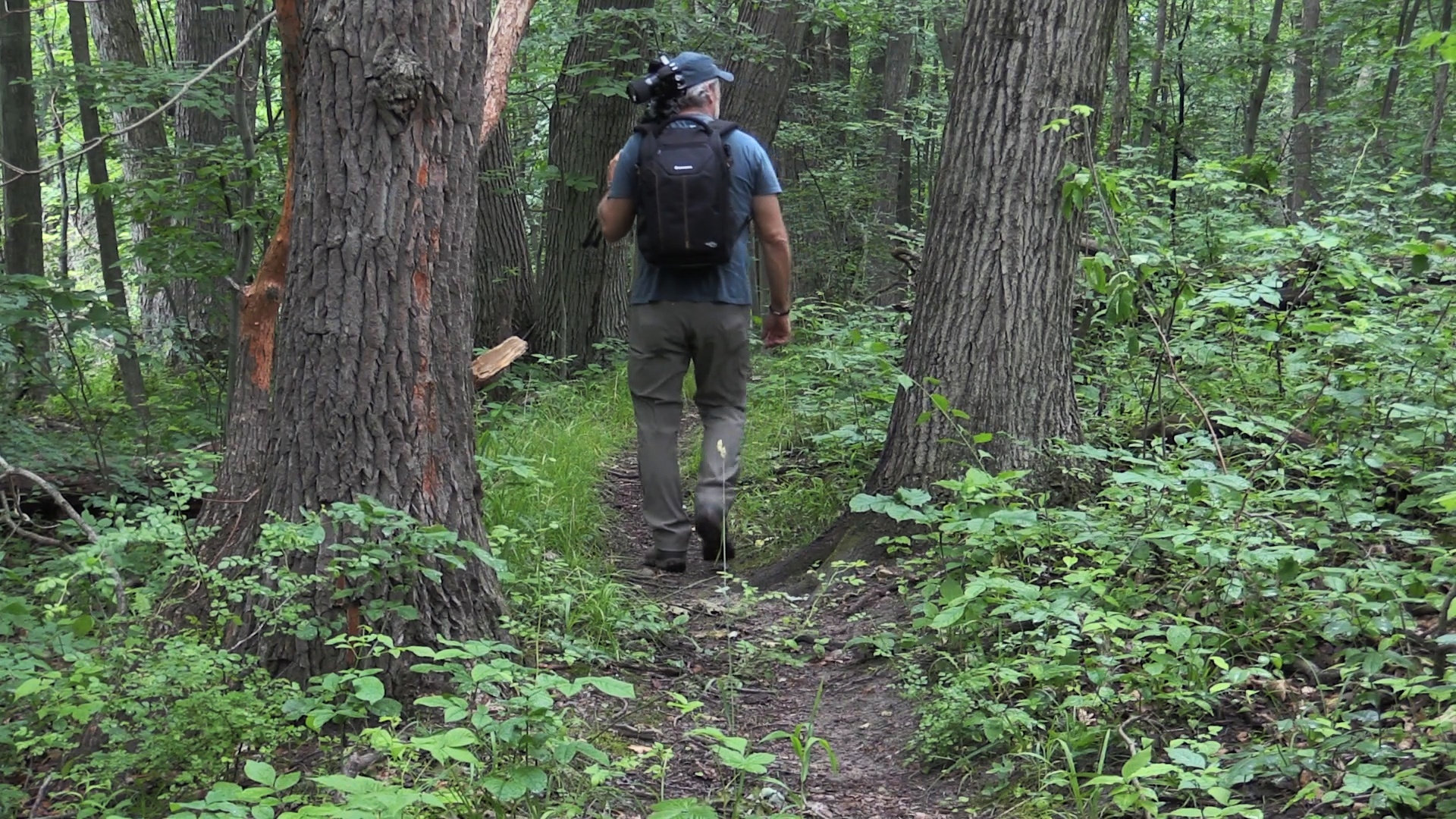 Taking the Right Path - Mike Moats - Award Winning Macro Photographer