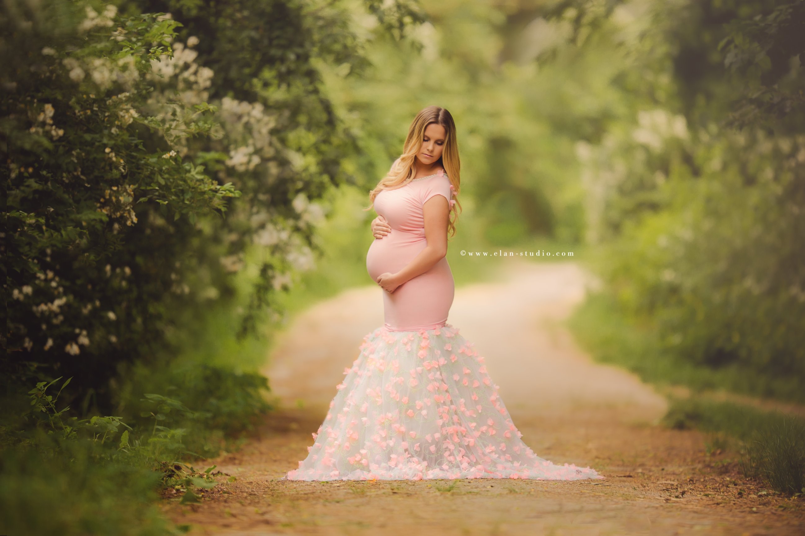 Bristol RI Maternity Photography Gallery | Elan Studio