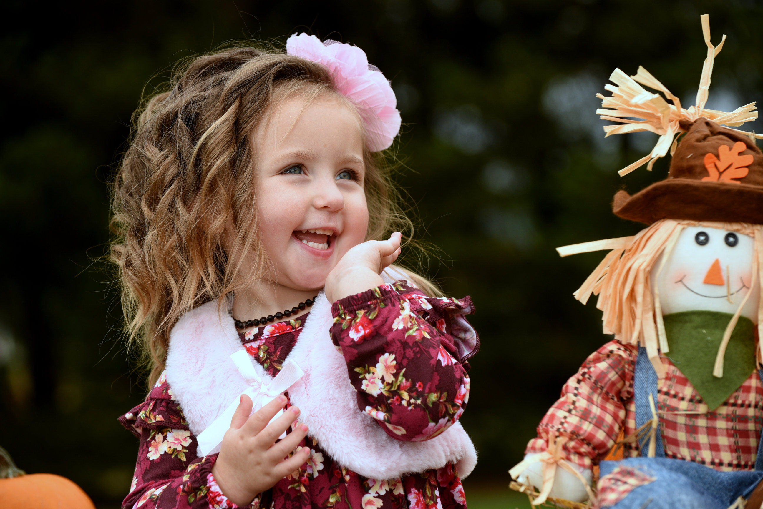 Mike Gibson Photography