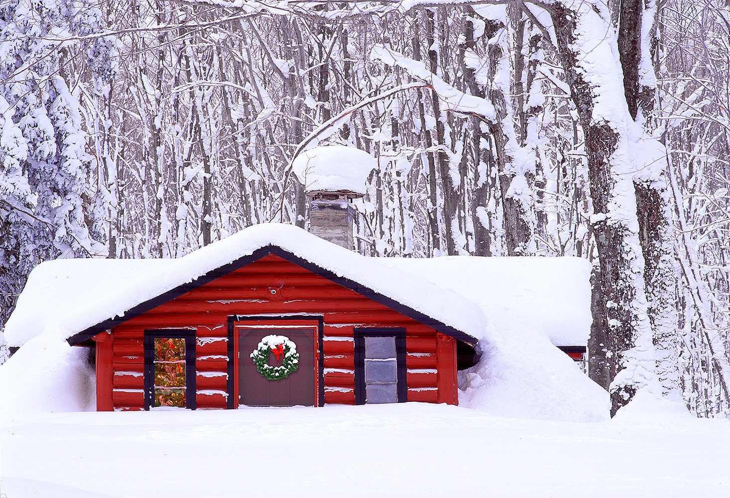 Snow highlights - Jim Zuckerman photography & photo tours